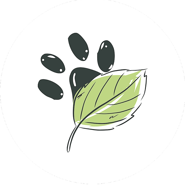 Leaf Animals | Linktree