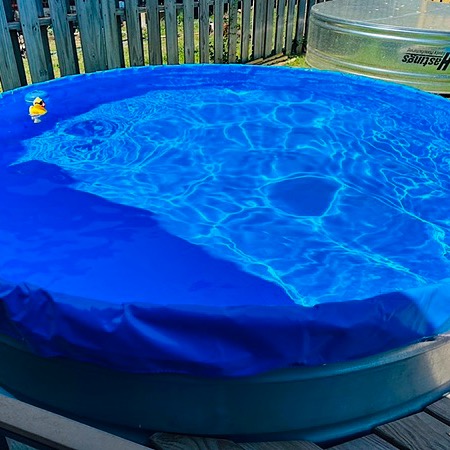 stocktankpool.net | Linktree