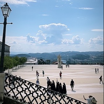 Dribrasil | Facebook | Linktree