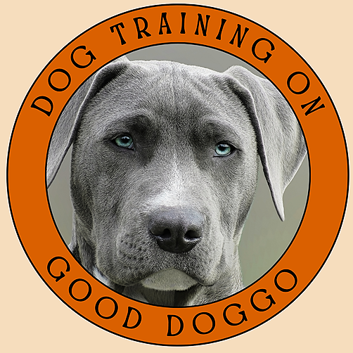 @good doggo | Linktree