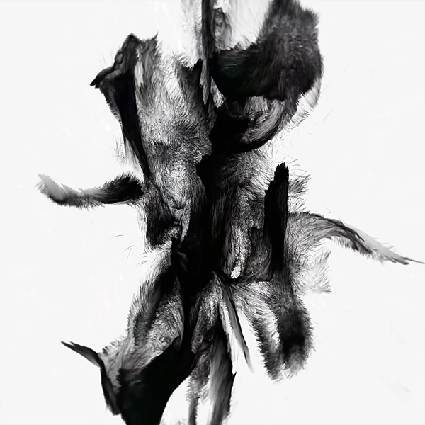 leander_lenzic - Listen on YouTube, Spotify - Linktree