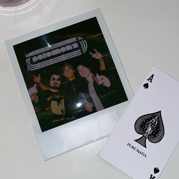 Pure Mafia | Twitter, Instagram, Facebook, TikTok, Twitch | Linktree