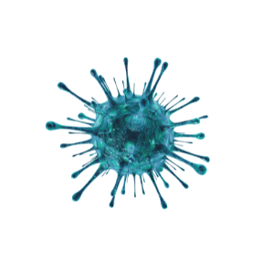 Getting All The Wray Clean | Linktree