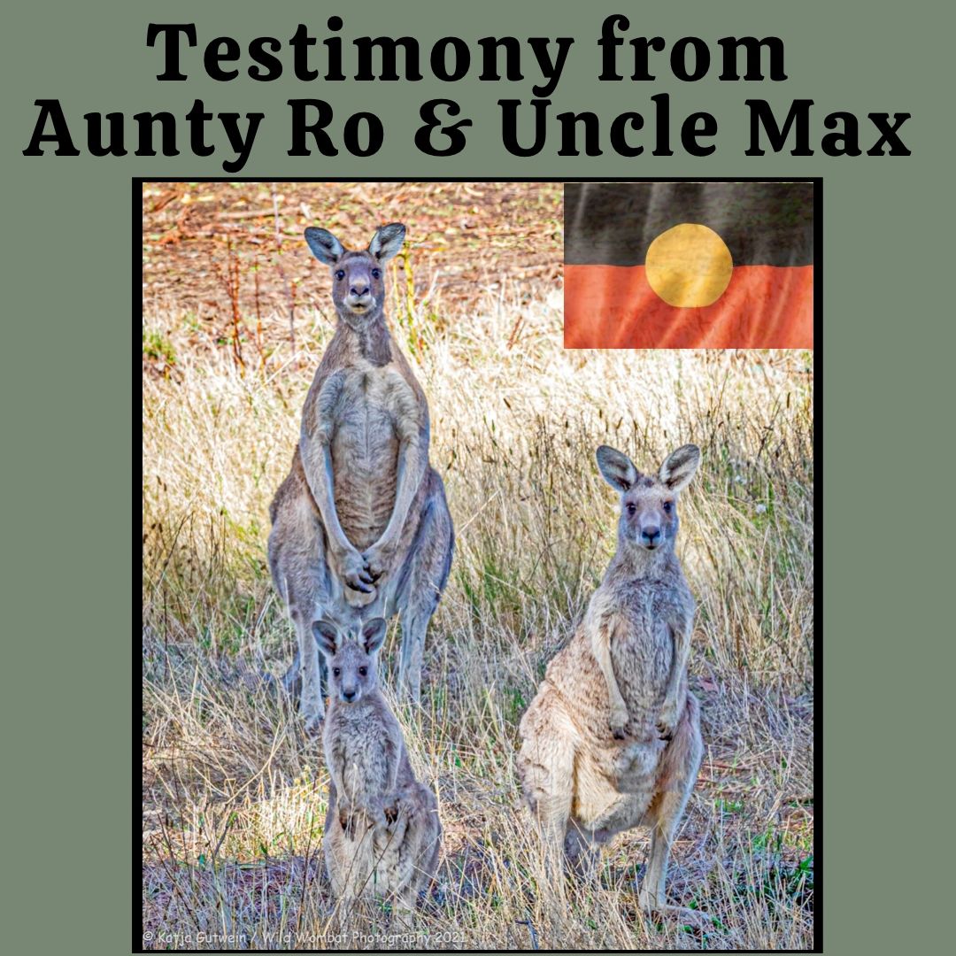 Victorian Kangaroo Alliance | Twitter, Instagram, Facebook | Linktree