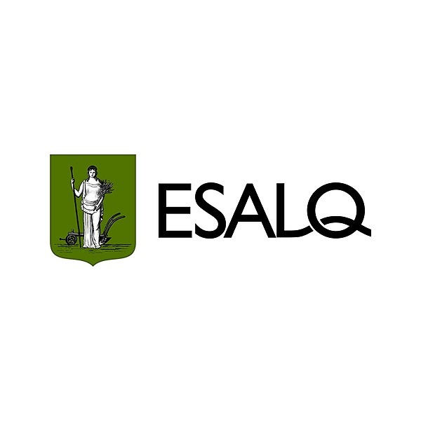 @raizenpropostadevalor | Linktree