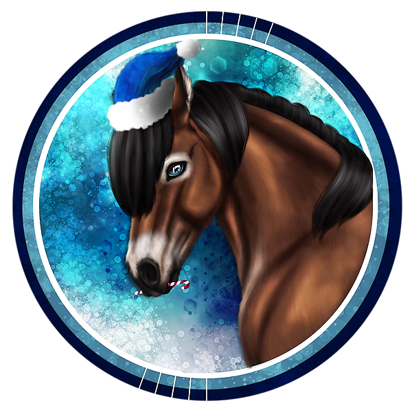 sso.blue.knights | Instagram, TikTok | Linktree