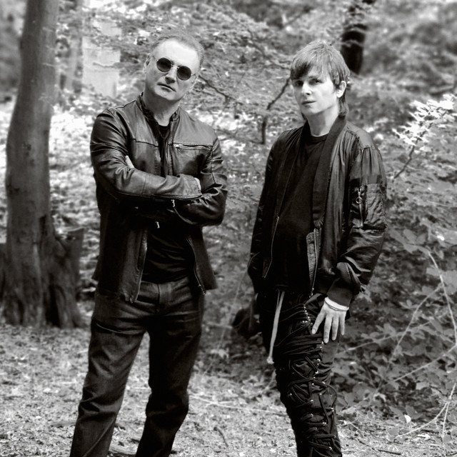 Paul Bee Hampshire - Listen on Spotify, Apple Music - Linktree