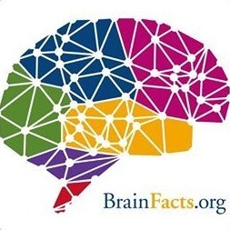 @BrainFacts | Linktree