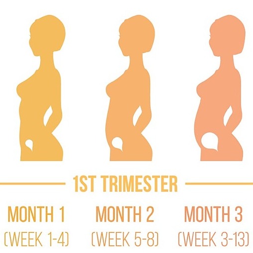 @1st_Trimester | Linktree