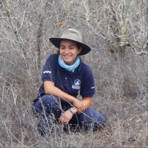 @Lorena_R_M | Linktree