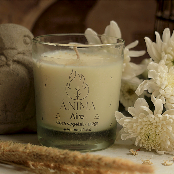 ANIMA_OFICIAL | Linktree