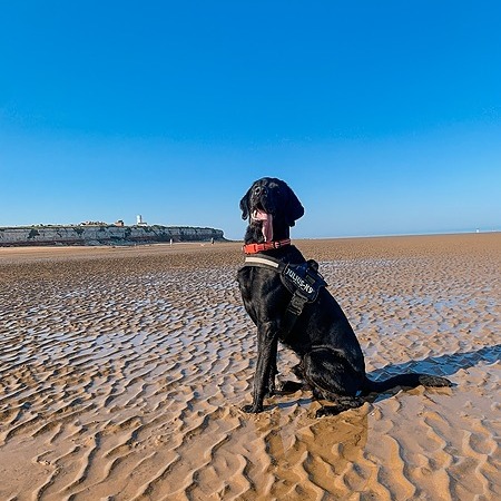 Nemo | Instagram, TikTok | Linktree