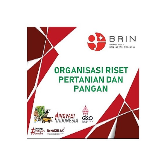 Rumah Program ORPP | Linktree