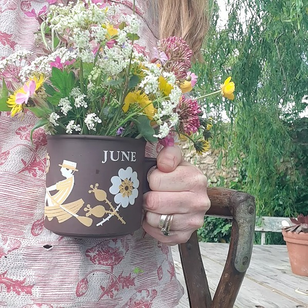 Hesta Singlewood | Facebook | Linktree