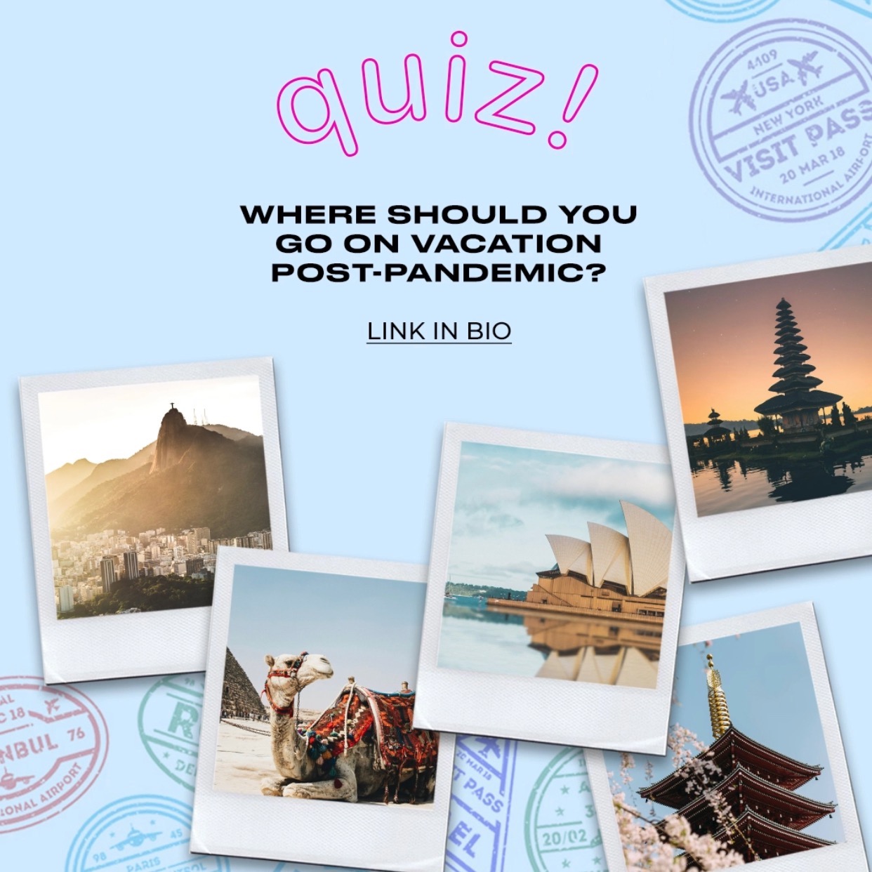 Suck My Chic | Linktree