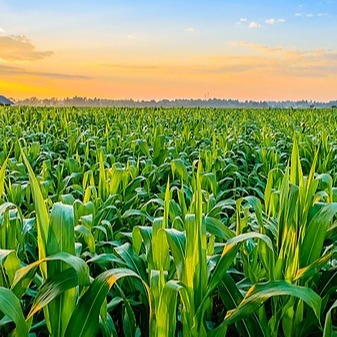 @pertanian21 | Linktree