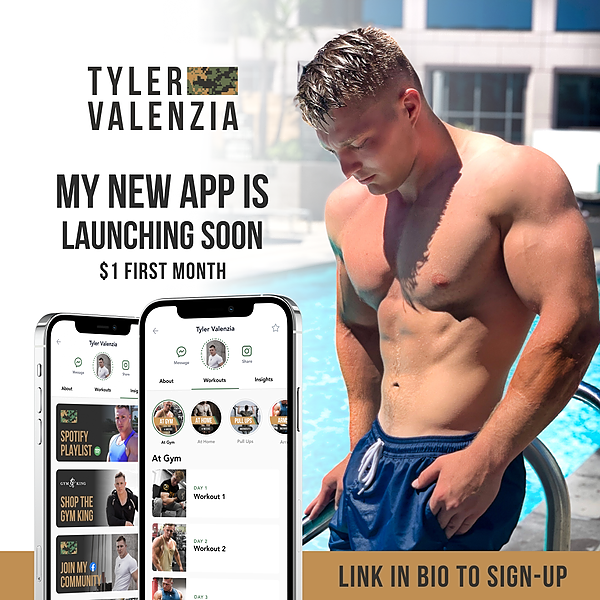 Tyler Valenzia | Twitter, Instagram, TikTok | Linktree