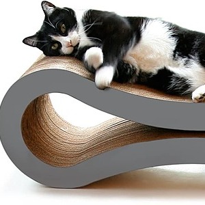 @funnycats10 | Linktree