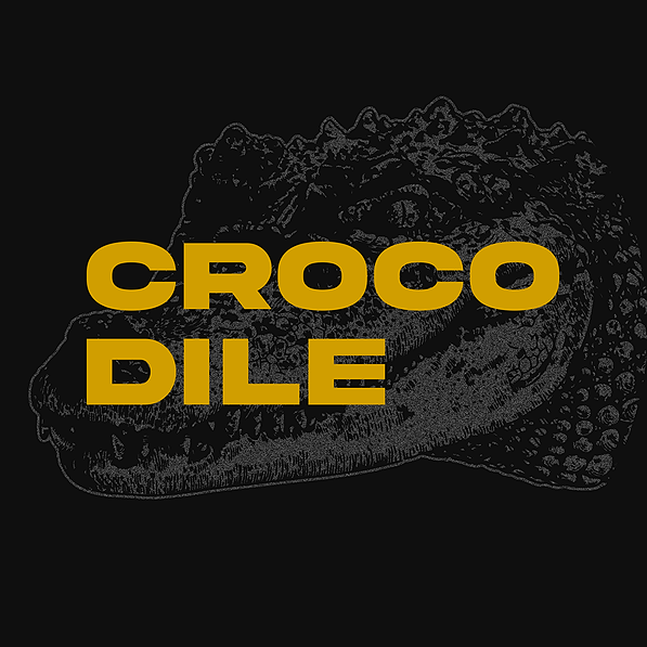 Crocodile Films & Contents | Instagram | Linktree