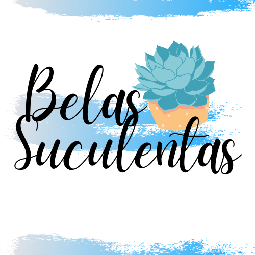 @Suculentas_Coloridas_Aqui | Linktree