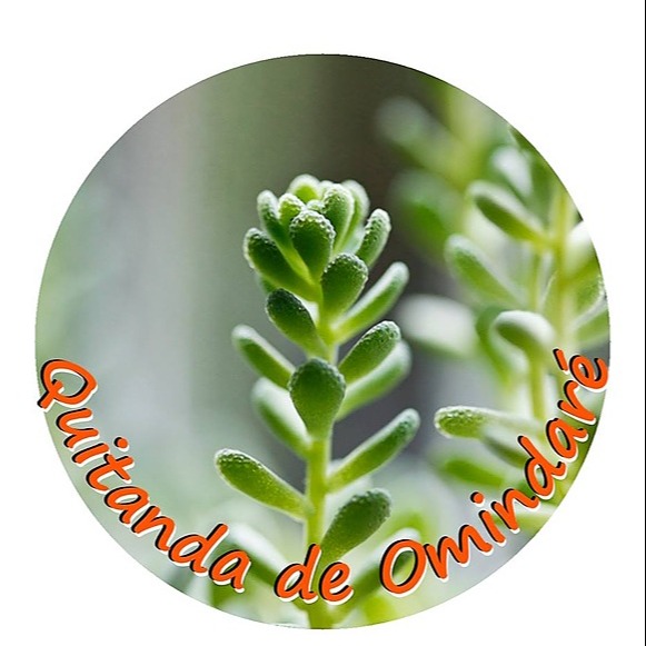Quitanda de Omindaré | Linktree