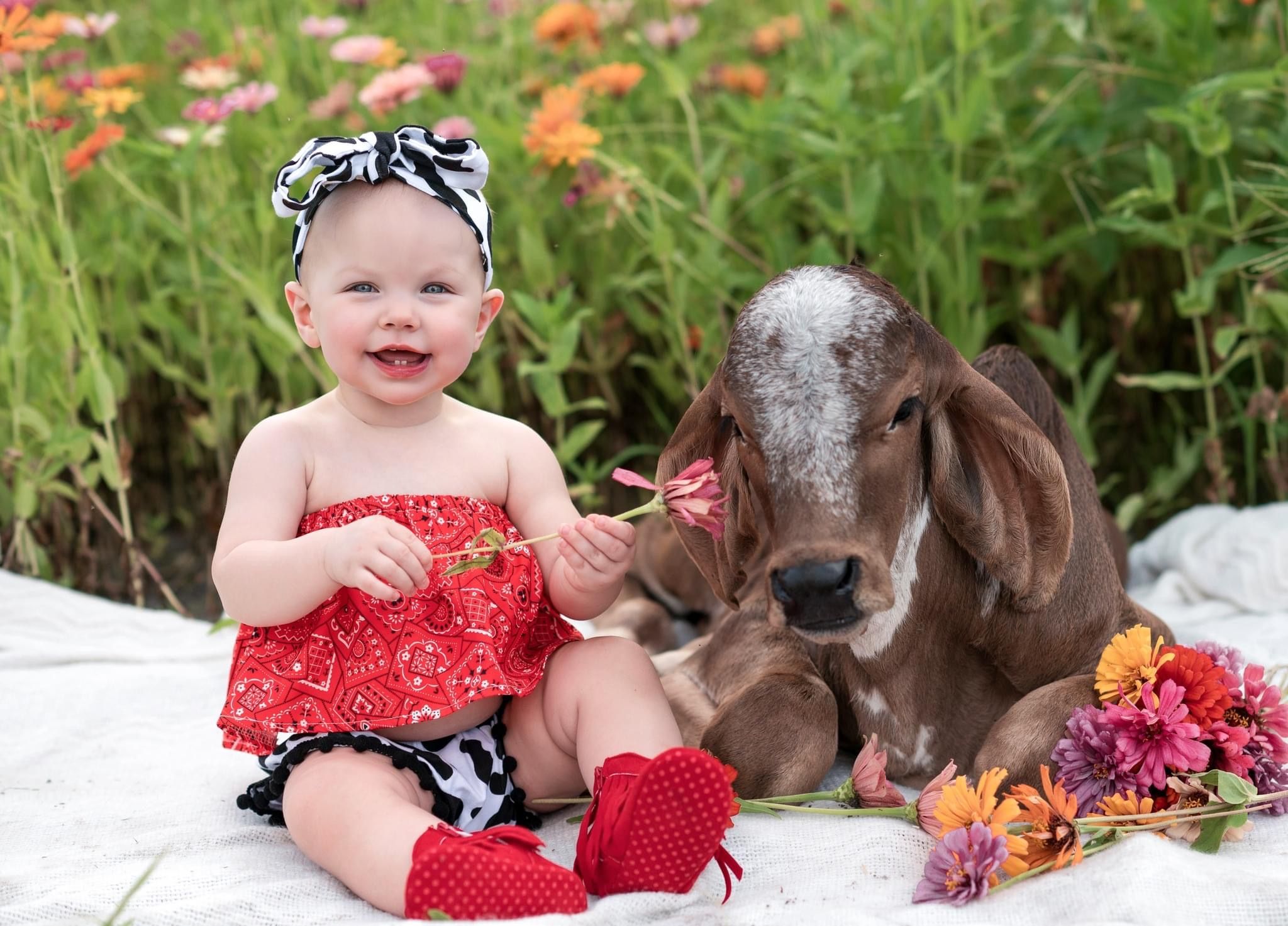 Rissa’s Little Moos LLC | Instagram, Facebook, TikTok | Linktree