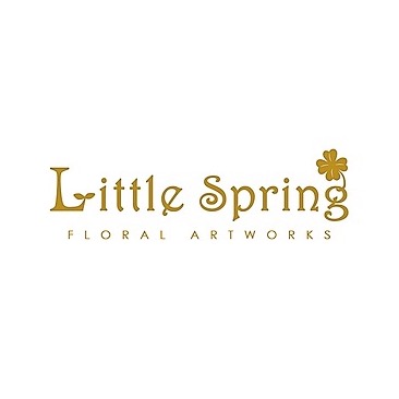 @littlespring | Linktree