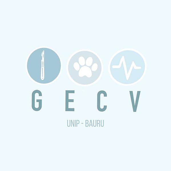 GECV - UNIP BAURU | Linktree