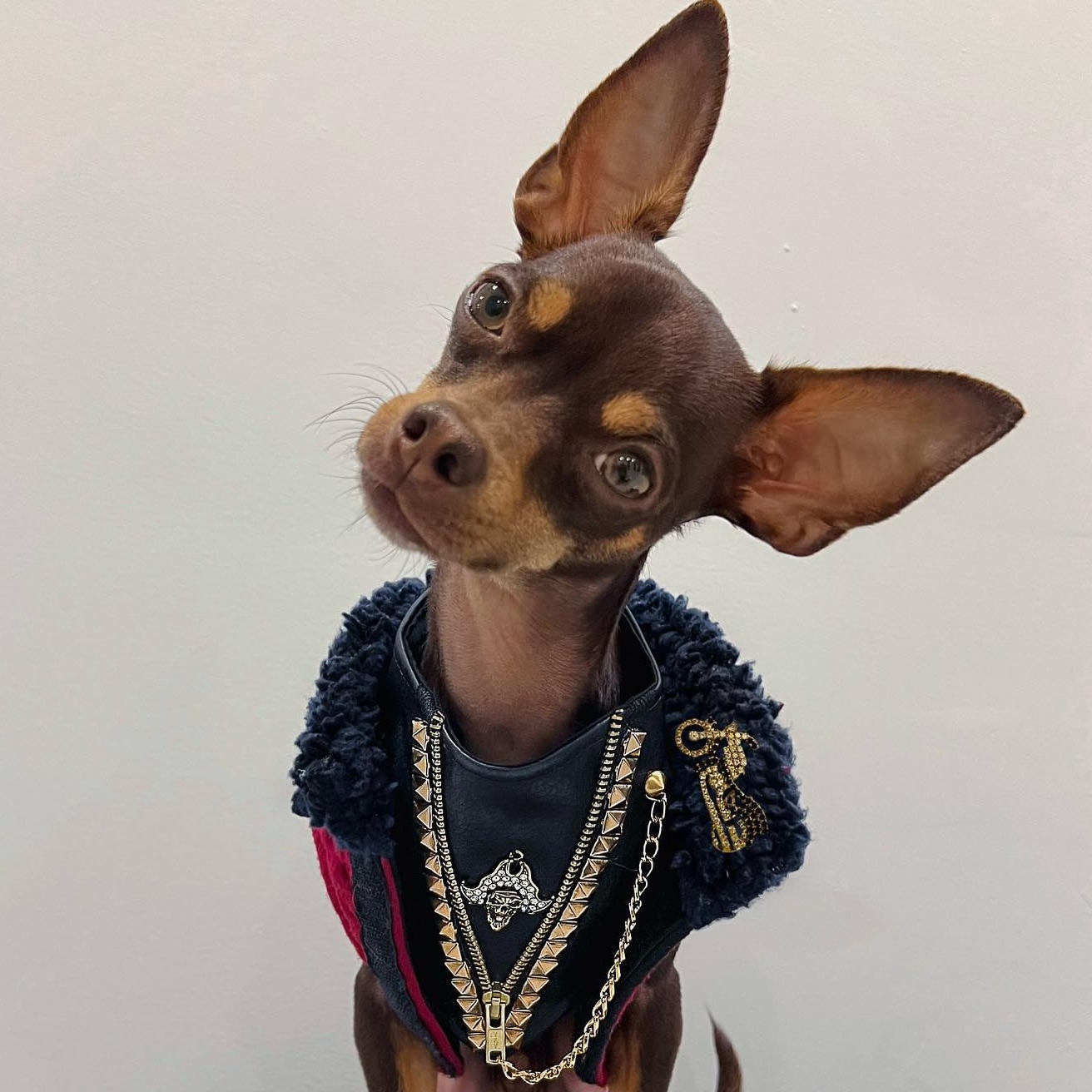 Jordan Valentino | Instagram, TikTok | Linktree