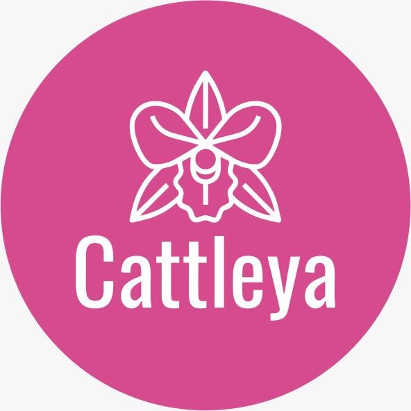 Cattleya | Instagram, Facebook | Linktree