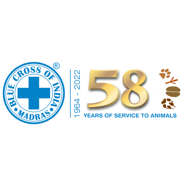 Blue Cross of India | Twitter, Instagram, Facebook | Linktree