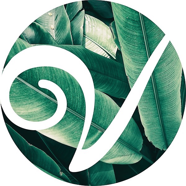 OFFICINA VERDE • | Instagram, Facebook | Linktree