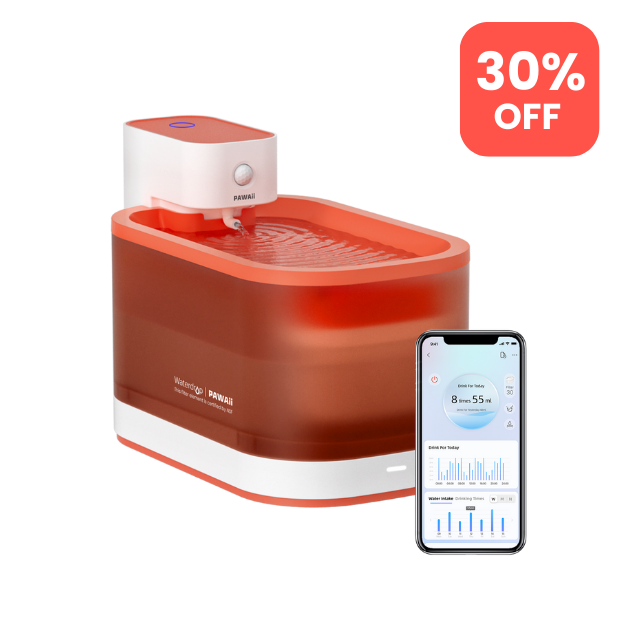 mommashive | TikTok | Linktree