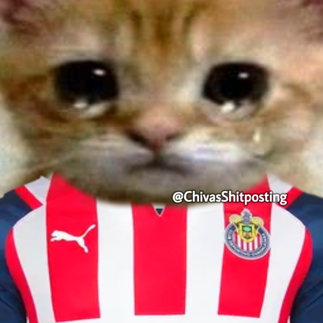 Chivas Shitposting | Twitter, Instagram, Facebook, TikTok | Linktree