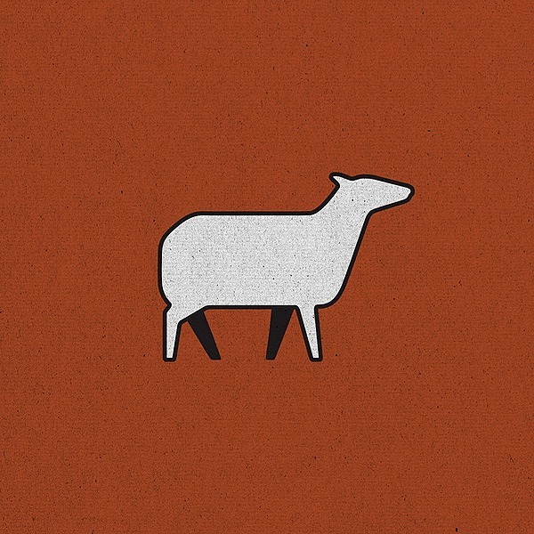 Bold Sheep | Instagram | Linktree
