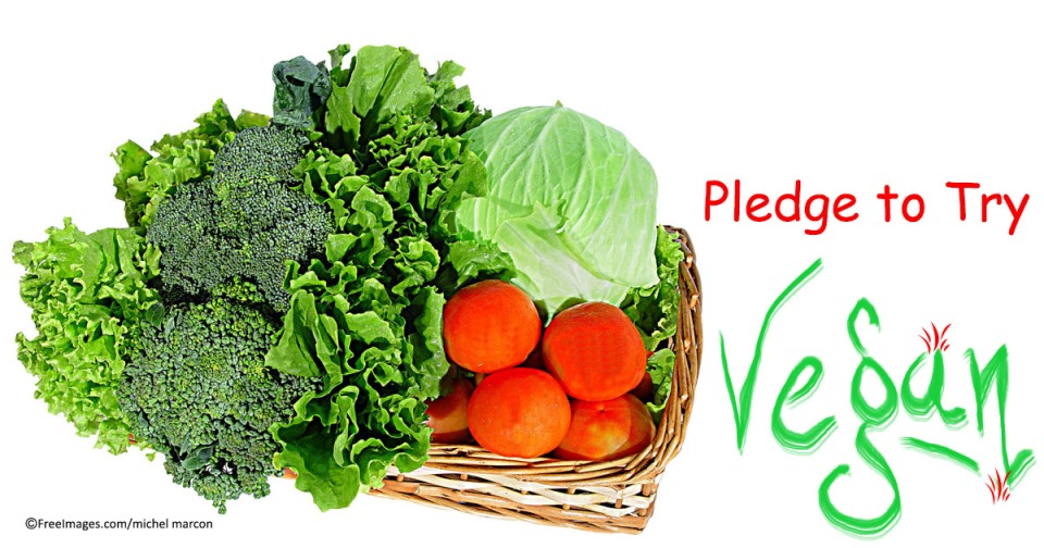 PetaIndiaOfficial | Twitter, Facebook | Linktree