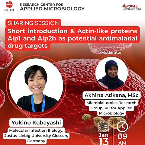 @prmt_brin | Linktree