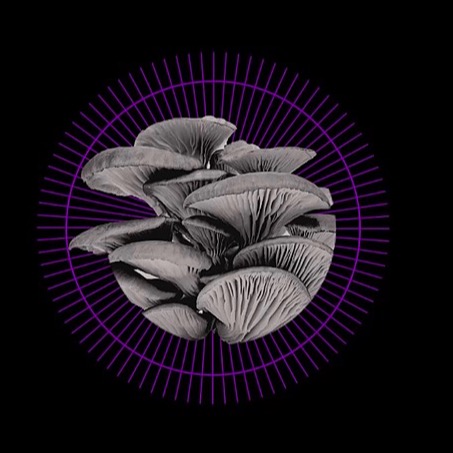 @LABVERDE | Linktree