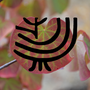 MMHS Resources | Linktree