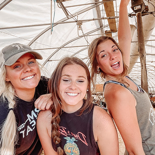 NYFG LINKS | TikTok | Linktree