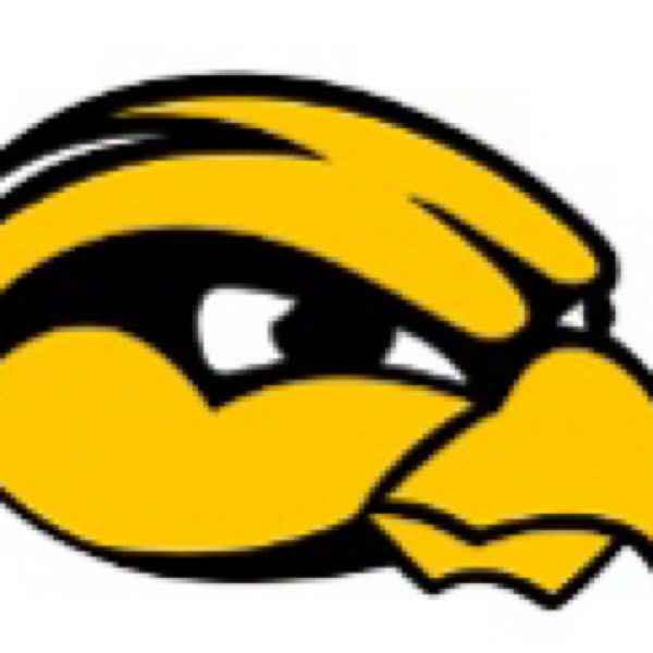 Hamilton, MI Hawkeyes Football | Linktree