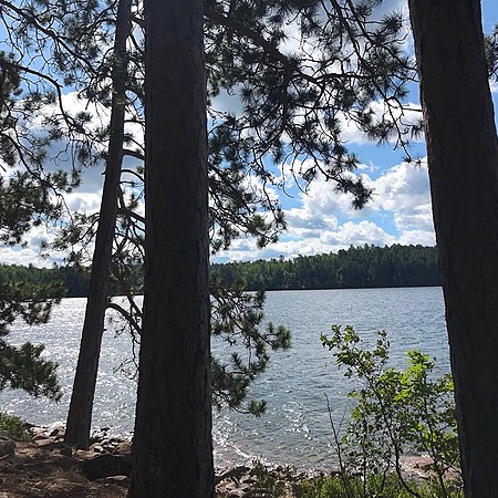 Rachel Moritz | Twitter, Instagram | Linktree