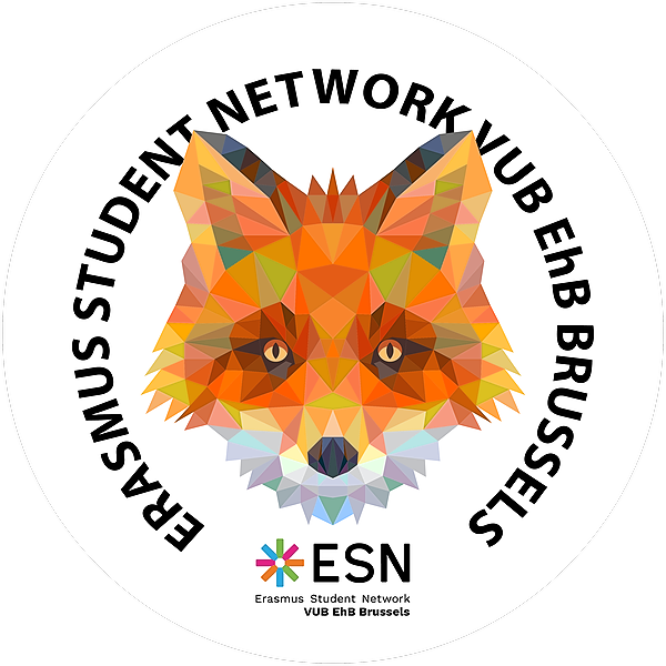 ESN VUB EhB Brussels | Instagram, Facebook | Linktree