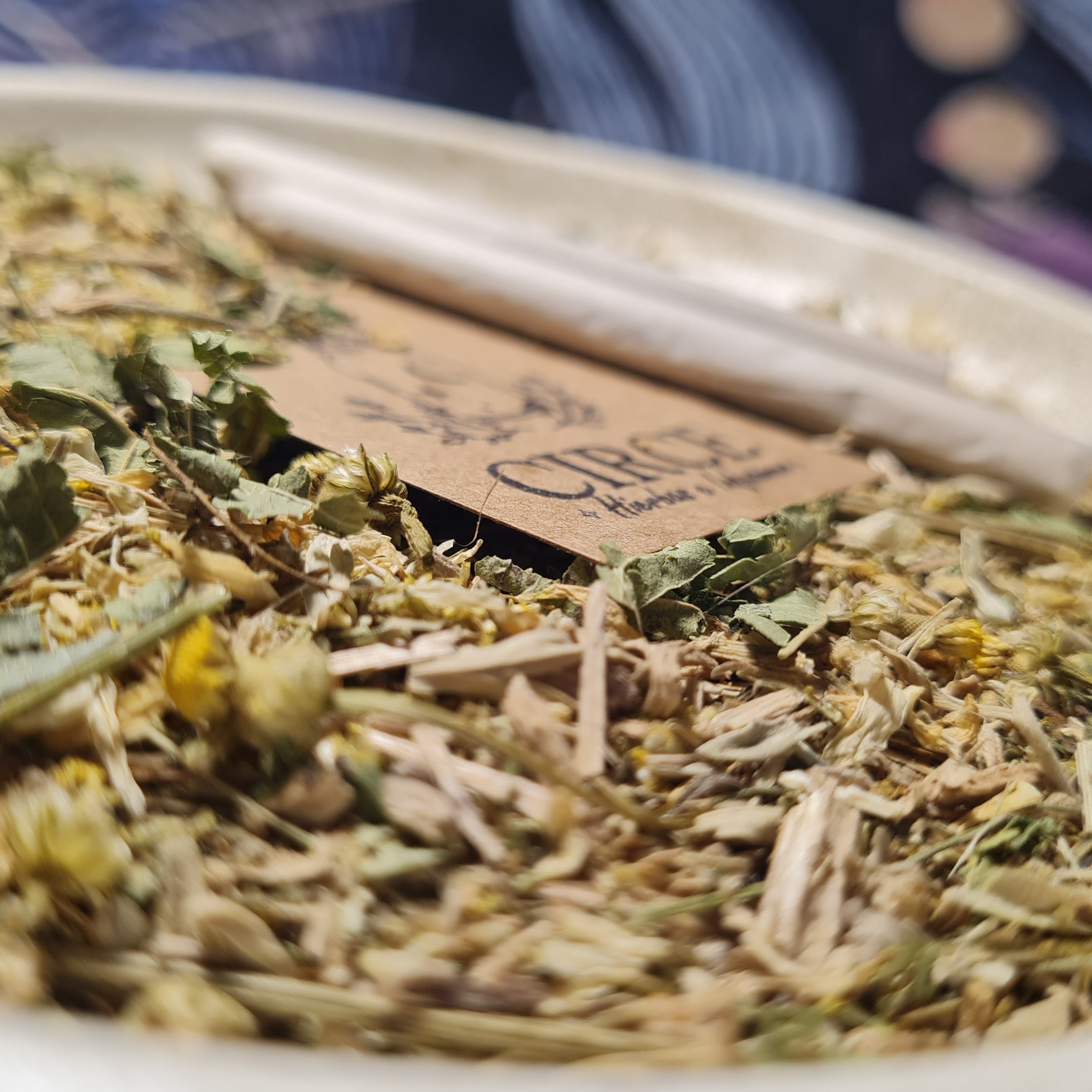 Circe Hierbas | Linktree