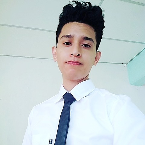 Jr Software Engineer / Backend | Linktree