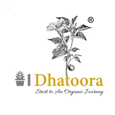 dhatoora | Instagram | Linktree