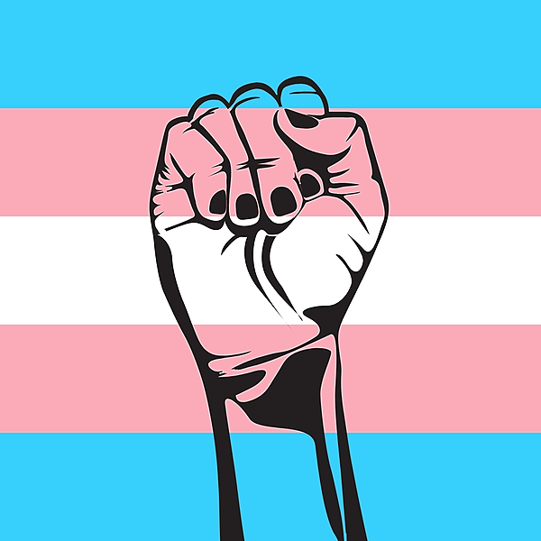 Trans/NB Mutual Aid | Linktree