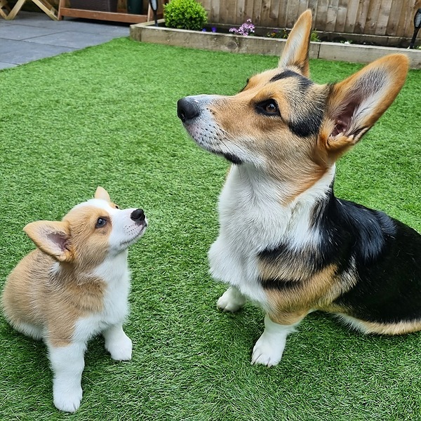 @Carter_and_tilly | Linktree