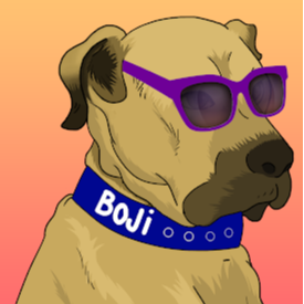 Boji Token | Twitter, Instagram, Facebook | Linktree