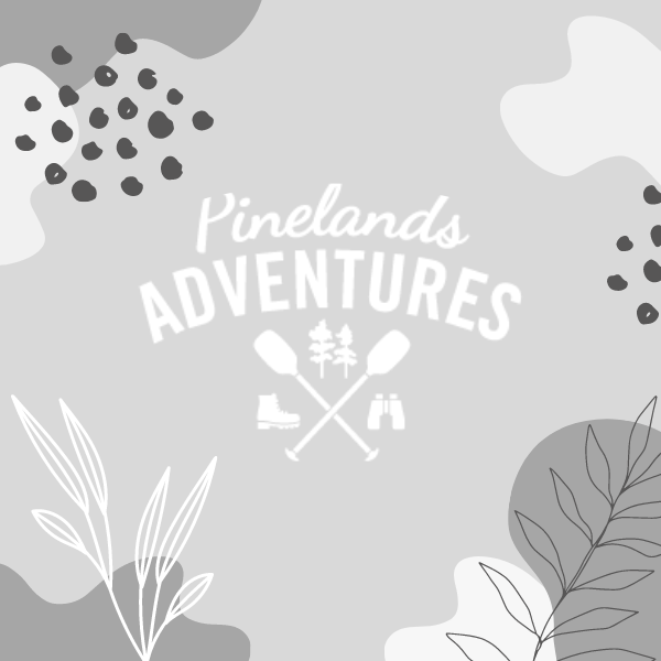 Matpat hello neighbor